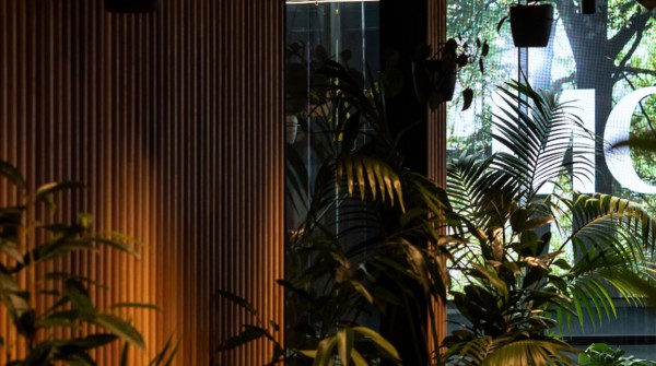 Meredith Connell + First AML | First AML