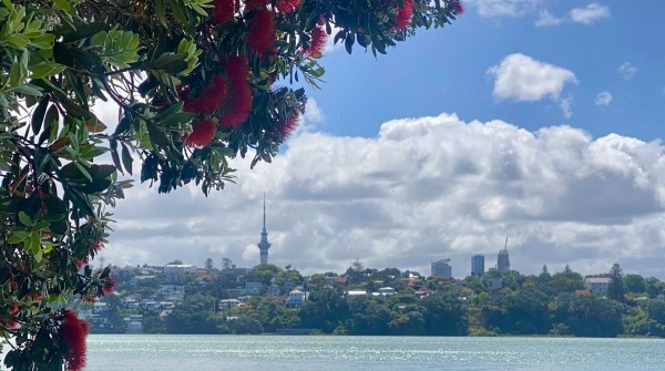 Key points on New Zealand's proposed IVCOP changes | First AML