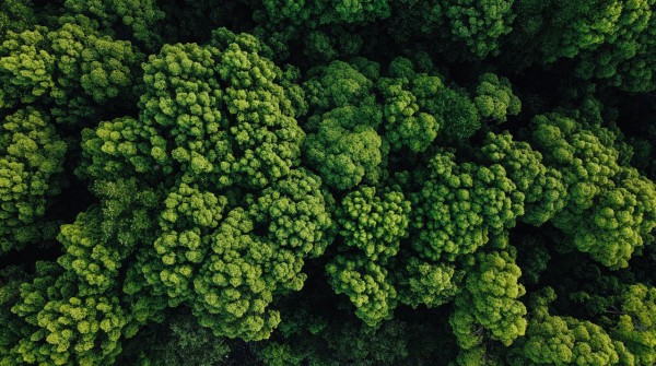 AML and ESG: Enhancing ethics and efficiency | First AML